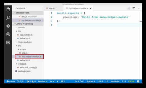 bundling module dependencies to see how webpack bundles and packages