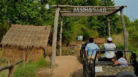 Bandhavgarh National Park Luxury Trails Of India