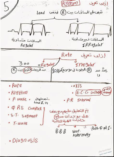 طريقة قراءة رسم القلب بسهولة Ecg بالصور نجوم مصرية