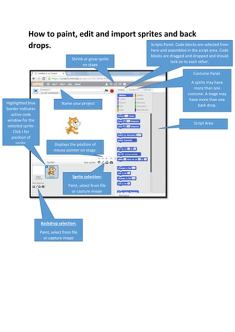 algorithms in scratch lesson 1 teaching resources