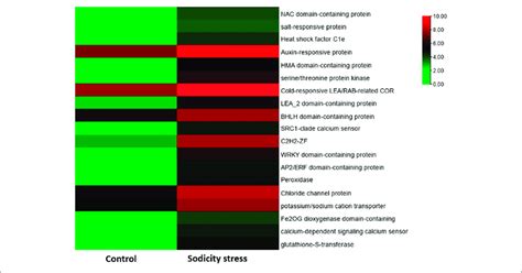 Heat Map Showing Differential Expression Of Candidate Download