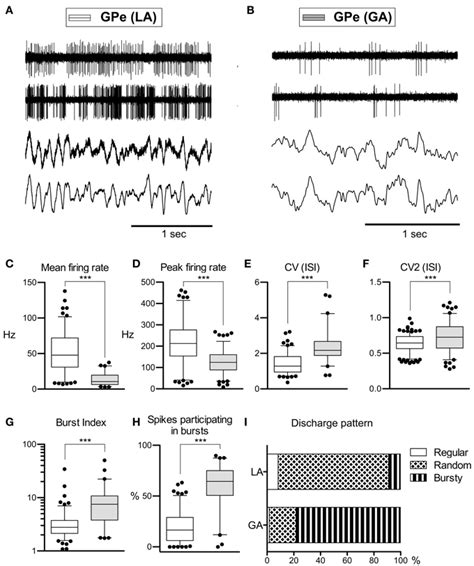 Comparison Of Discharge Rates And Patterns Of Gpe Neurons In Cd