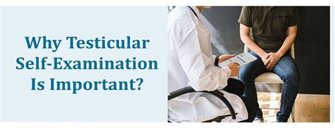 Why Testicular Self Examination Is Important Horizon Hospital