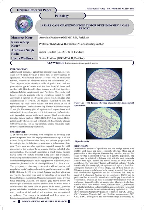 Pdf A Rare Case Of Adenomatoid Tumor Of Epididymis A Case Report
