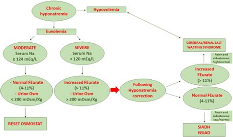 Extremely Rare Causes Of Chronic Hyponatremia Diagnostic Algorithm For