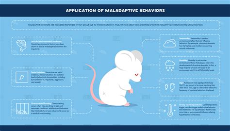 Maladaptive Behaviors Maze Engineers