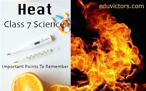Cbse Papers Questions Answers Mcq Class 7 Science Chapter Heat
