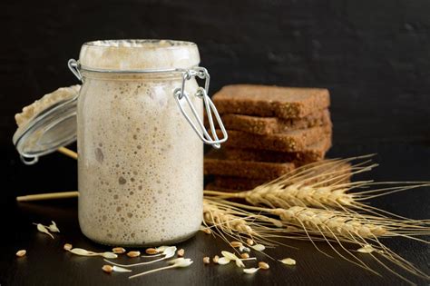Qué Es La Masa Madre Y Como Se Prepara En Casa Bio Eco Actual