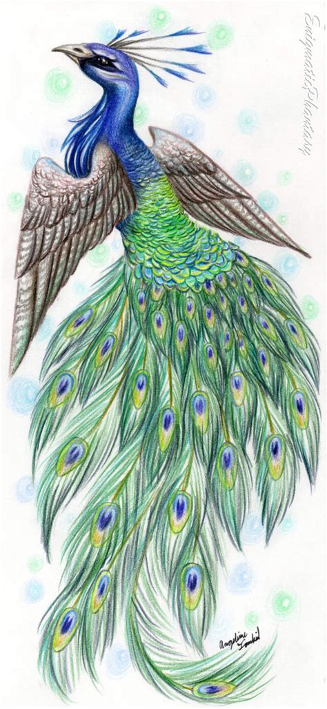 Peacock Commission By Absinthekitsune On Deviantart