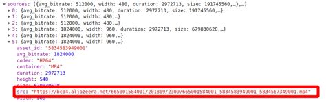 python 3 x why can t my video crawler detect a simple