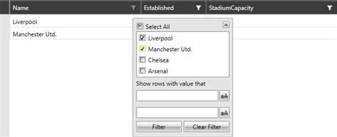 wpf virtualgrid filtering with dataprovider telerik ui for wpf