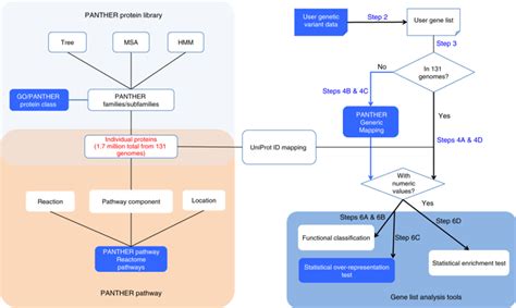 Protocol Update For Large Scale Genome And Gene Function Analysis With