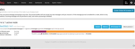 cluster global api browser and api browser seems not right graylog