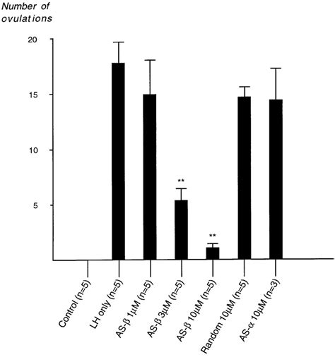 The Transcription Factor C Ebp‐β And Its Role In Ovarian Function