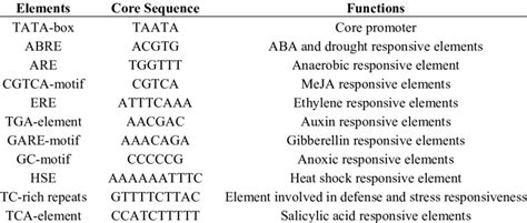 Analysis Of Putative Cis Acting Elements In The Wheat W36 Promoter