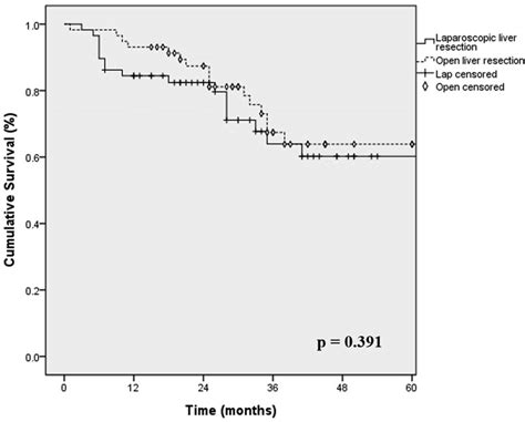 Kaplanemeier Curve Showing Disease Free Survival In Patients With