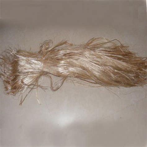Banana Fiber Latest Price Manufacturers Suppliers And Wholesalers In