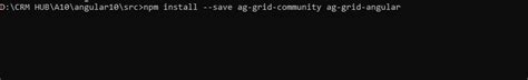 crm hub infinite row model in ag grid with angular