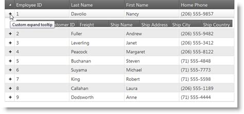 styling ighierarchicalgrid ignite ui™ help