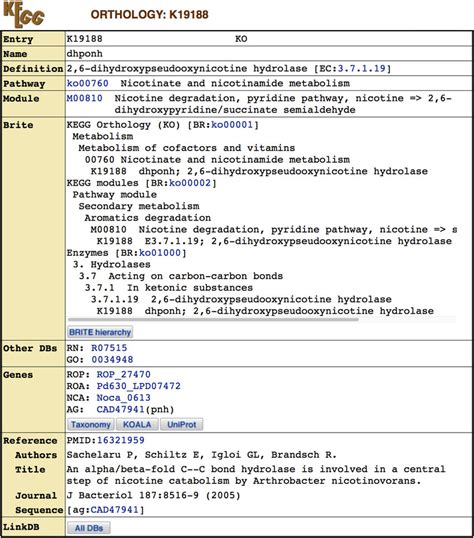 remove r n from string in python article blog