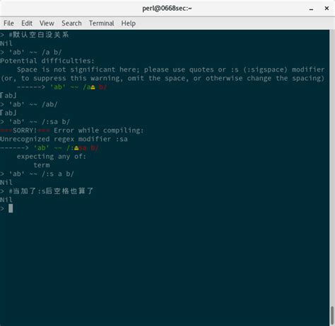 perl6正则 6 大小写 空白 匹配所有符合 csdn博客