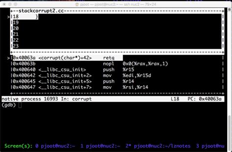 peeter joot s blog stack corruption