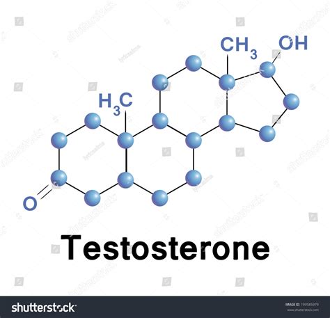 Testosterone Molecule Structure Medical Vector Illustration