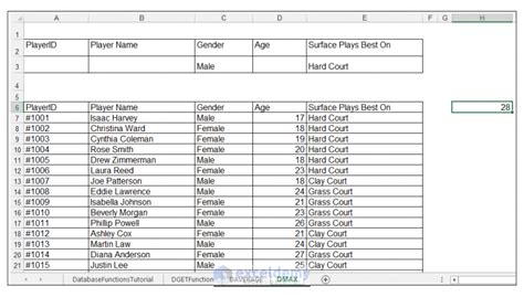 how to use excel database functions dget daverage and dmax