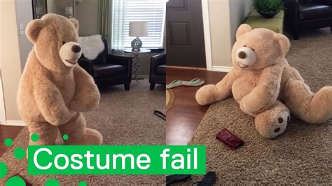 Teddy Bear Costume For Women