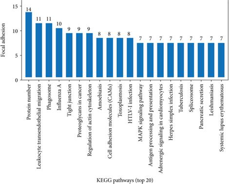 Kegg Pathway And Ppi Analysis Of The Differentially Expressed Proteins