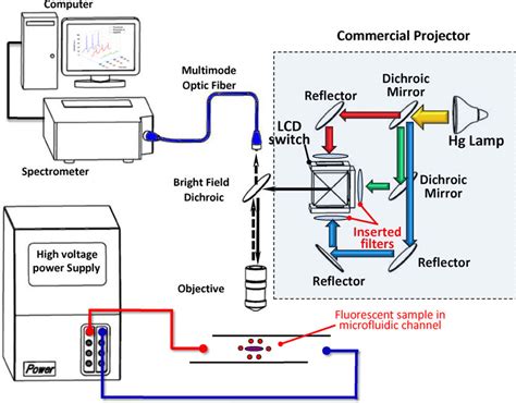 Presents A Schematic Illustration Of The Proposed Multicolor