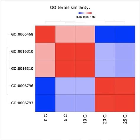Heat Map Showing The Expression Profile Of Phosphorylation Proteins