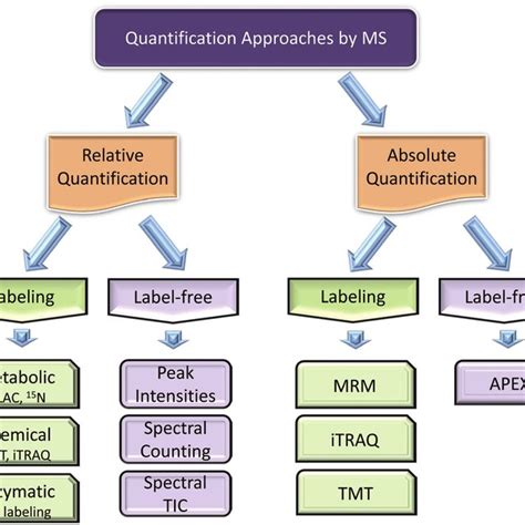 An Overview Of Mass Spectrometry Based Quantitative Proteomics Mass