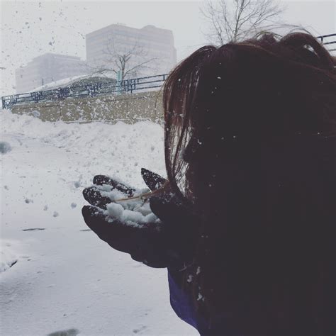 Free Images Snow Winter Ice Weather Season Freezing 2447x2447