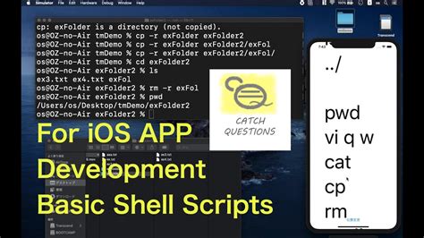 shell script for beginner would be linux command line