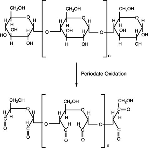 Chemical Oxidation Of Polysaccharides Using Sodium Periodate Download