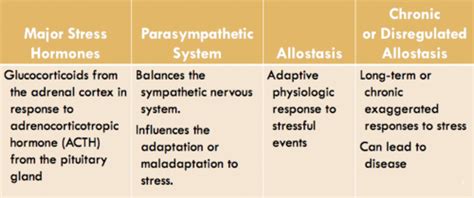 Patho Exam 1 Ch 11 Stress Response 3 Questions General