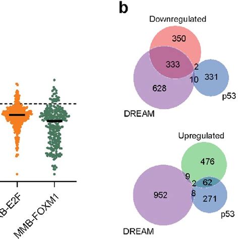 Senescence Associated Differential Gene Expression A Differential