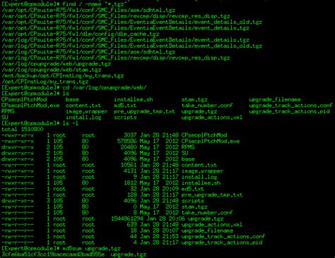 upgrade checkpoint from command line after failed from webui cyber