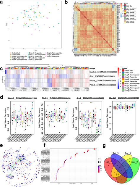 igeak an interactive gene expression analysis kit for seamless