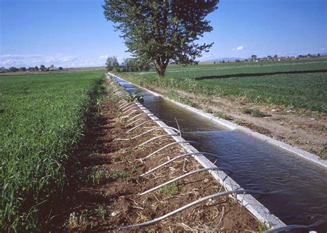 Irrigation For Dummies Pictorial View Types Of Irrigation Systems