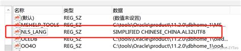 ora 12705：无法访问nls数据文件或者指定的环境无效 csdn博客
