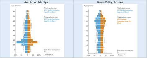 Create Age Pyramid Charts In Business Analyst