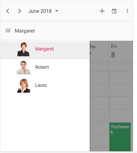 resources and grouping in asp mvc schedule control
