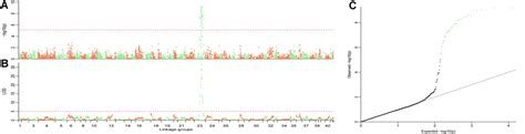 Frontiers A High Density Genetic Linkage Map And Qtl Mapping For Sex