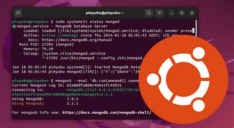 How To Install Mongodb On Ubuntu Pi My Life Up