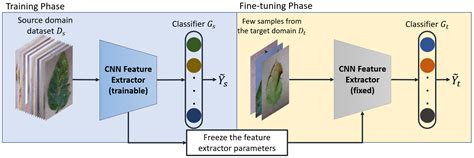 Plants Free Full Text Convolutional Neural Network For Automatic
