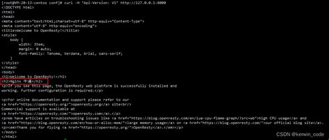 使用docker安装openresty并使用lua脚本实现通过请求头动态路由 docker openresty csdn博客