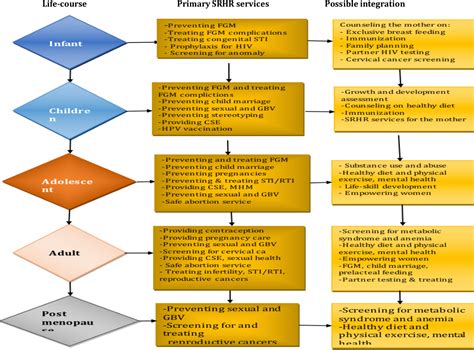 Figure 1 From Universal Health Coverage Policy And Progress Towards The
