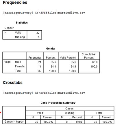 ibm spss statistics syntax and macro development perficient blogs